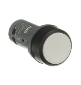 ABB CP1-10W-20 Switches