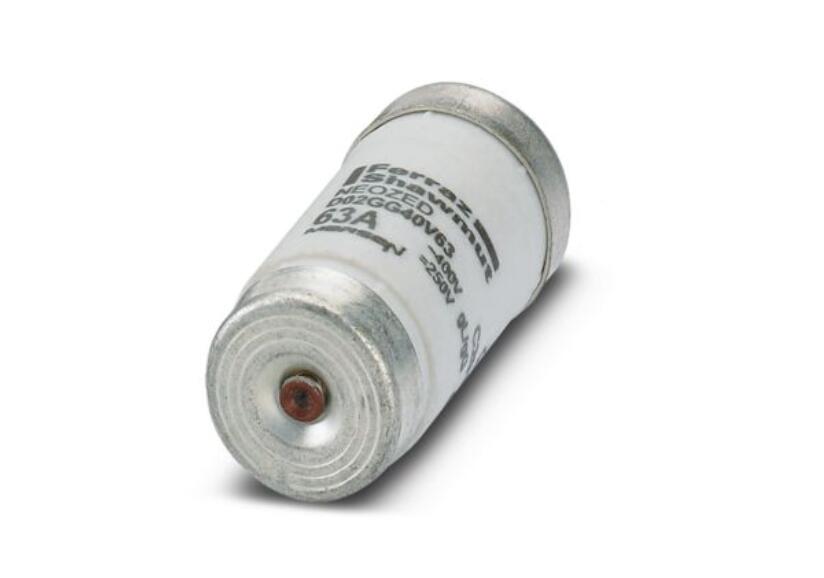 Phoenix Contact 913100 Fuse